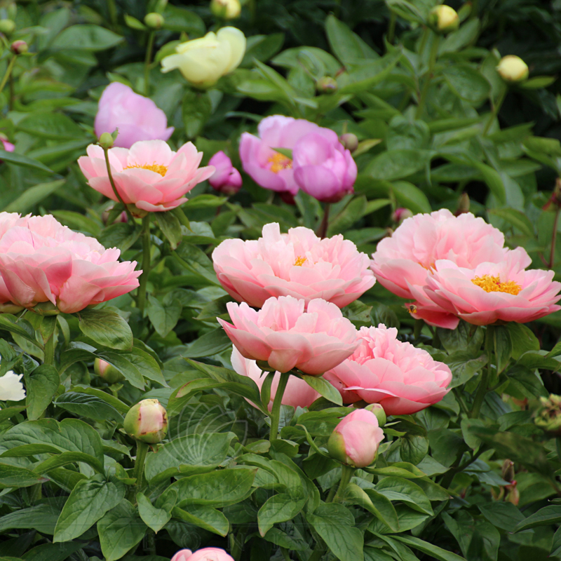 Unable to fetch data.